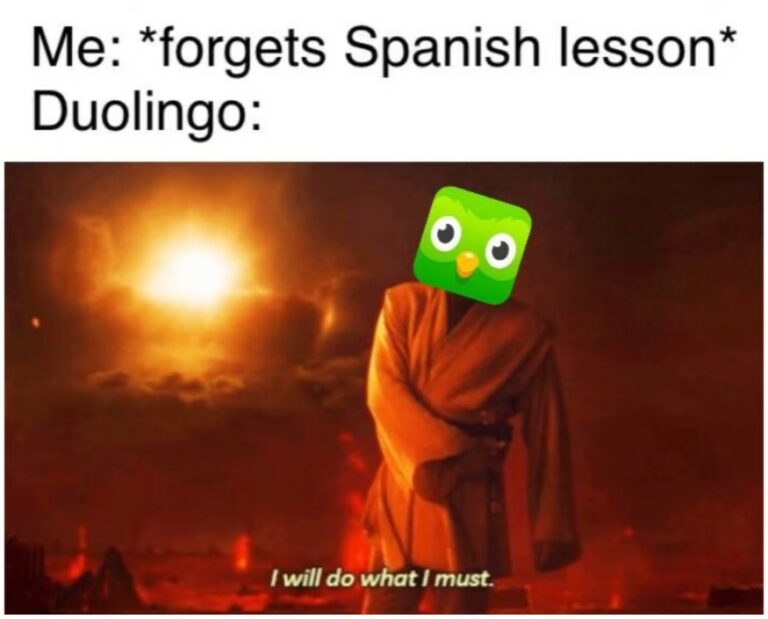 Duolingo Memes That Are Funny, Slightly Threatening, and Totally ...