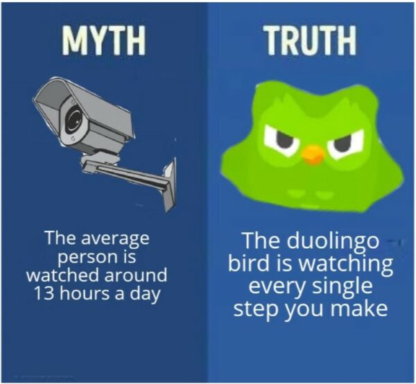 Duolingo Memes That Are Funny, Slightly Threatening, and Totally ...