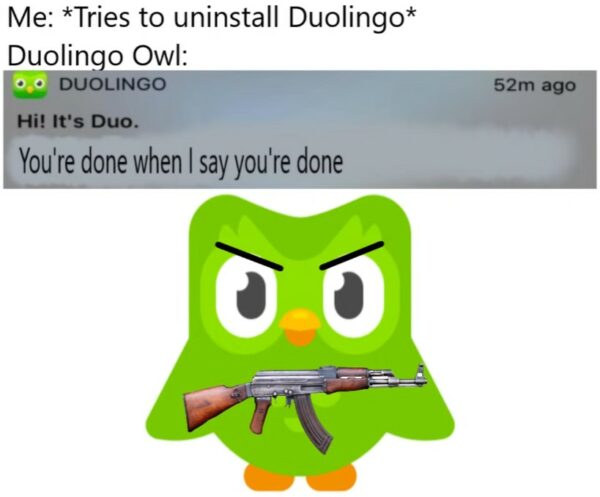 Duolingo Memes That Are Funny, Slightly Threatening, and Totally ...