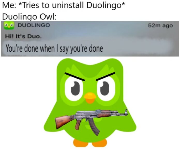 Duolingo Memes That Are Funny, Slightly Threatening, and Totally ...