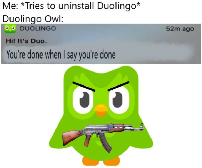 Duolingo Memes That Are Funny, Slightly Threatening, and Totally ...