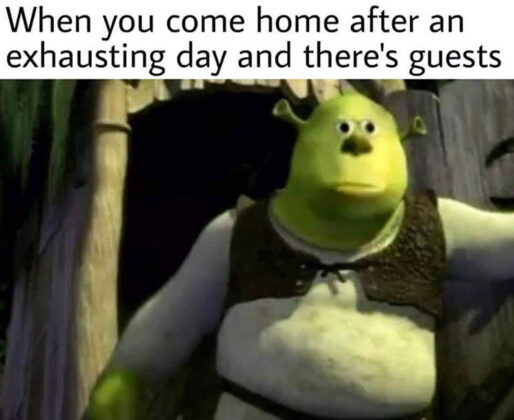 Best Shrek Memes The Internet Made Popular - AMJ