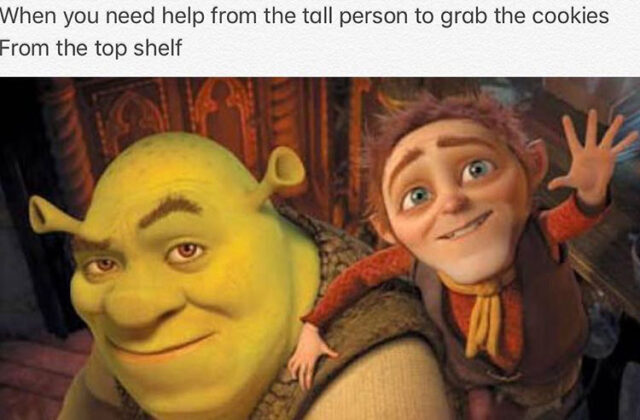 Shrek Memes That Everyone’s Talking About – The Internet’s Favorite ...