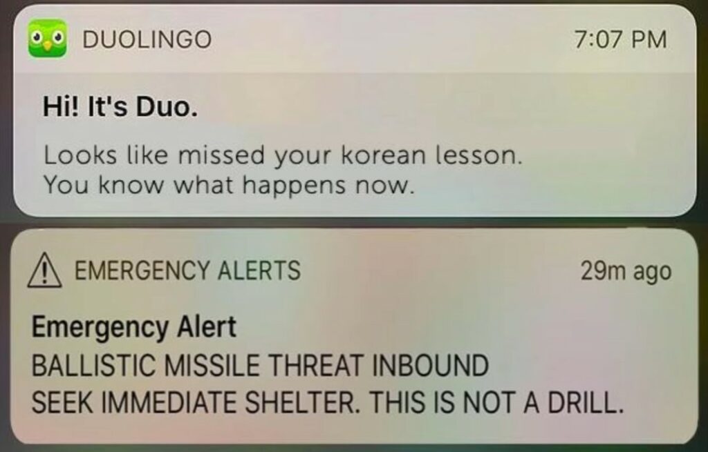 Duolingo Memes That Are Funny, Slightly Threatening, and Totally ...