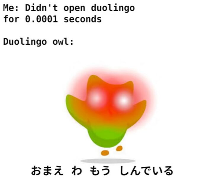 Duolingo Memes That Are Funny, Slightly Threatening, and Totally ...