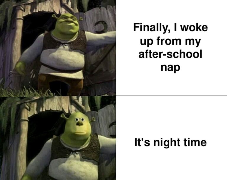 Shrek Memes That Everyone’s Talking About – The Internet’s Favorite ...