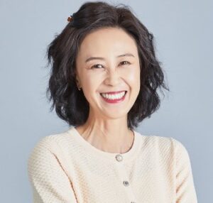 Vincenzo Season 2: Latest Updates and Potential Release Information - AMJ