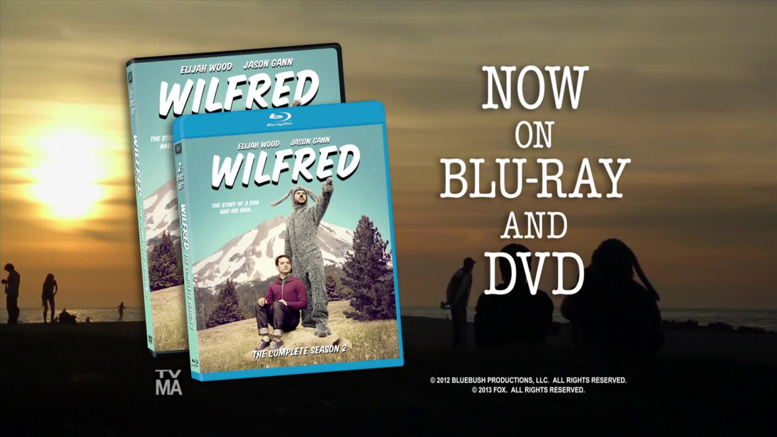 Top 10 Shows Like BoJack Horseman in 2025: Best Animated Dramas to ...