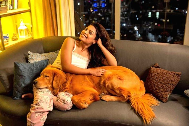 11 Stunning ALT Balaji Web Series Actresses – Names & Photos Inside - AMJ