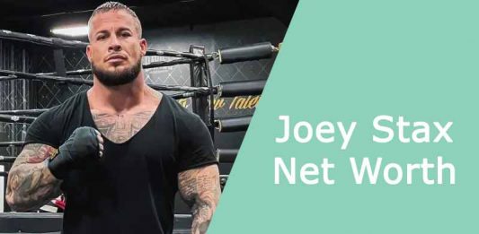 PSY Net Worth 2025: From "Gangnam Style" to Global Success - AMJ